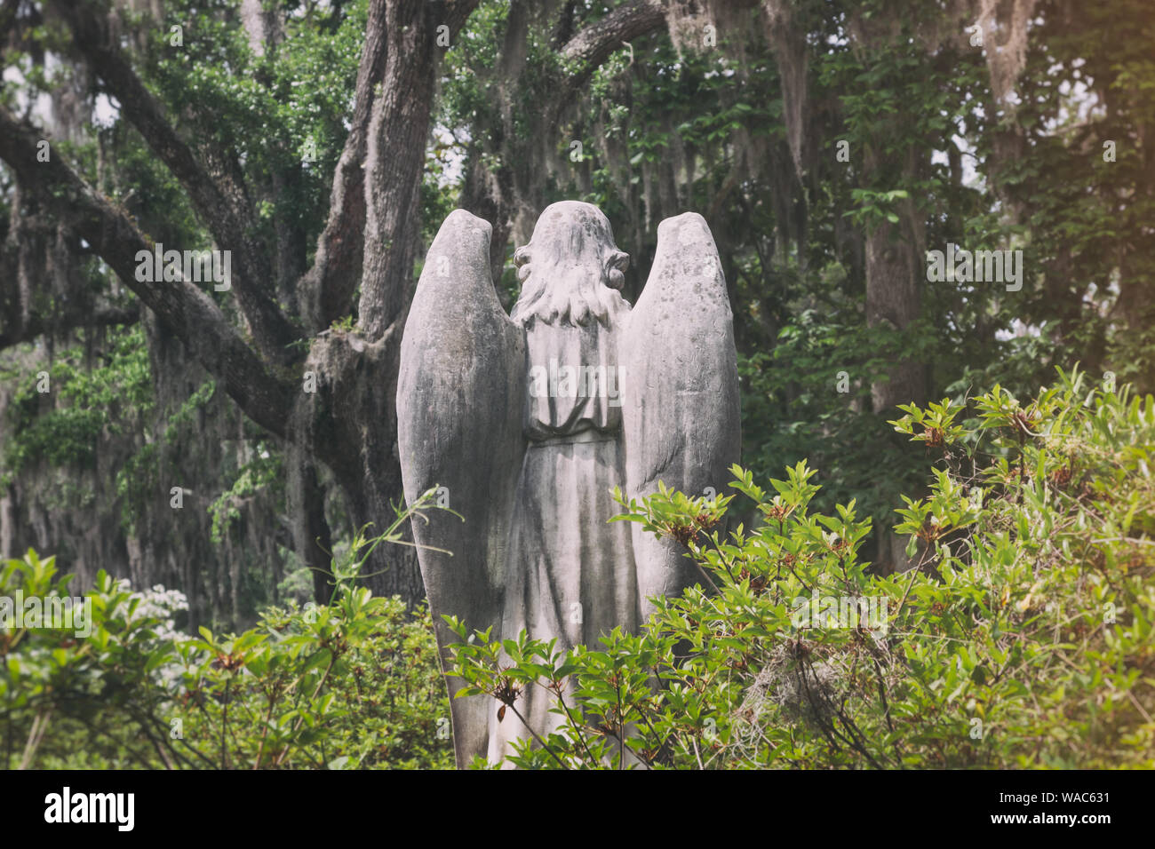 Old angel statue moss hi-res stock photography and images - Alamy