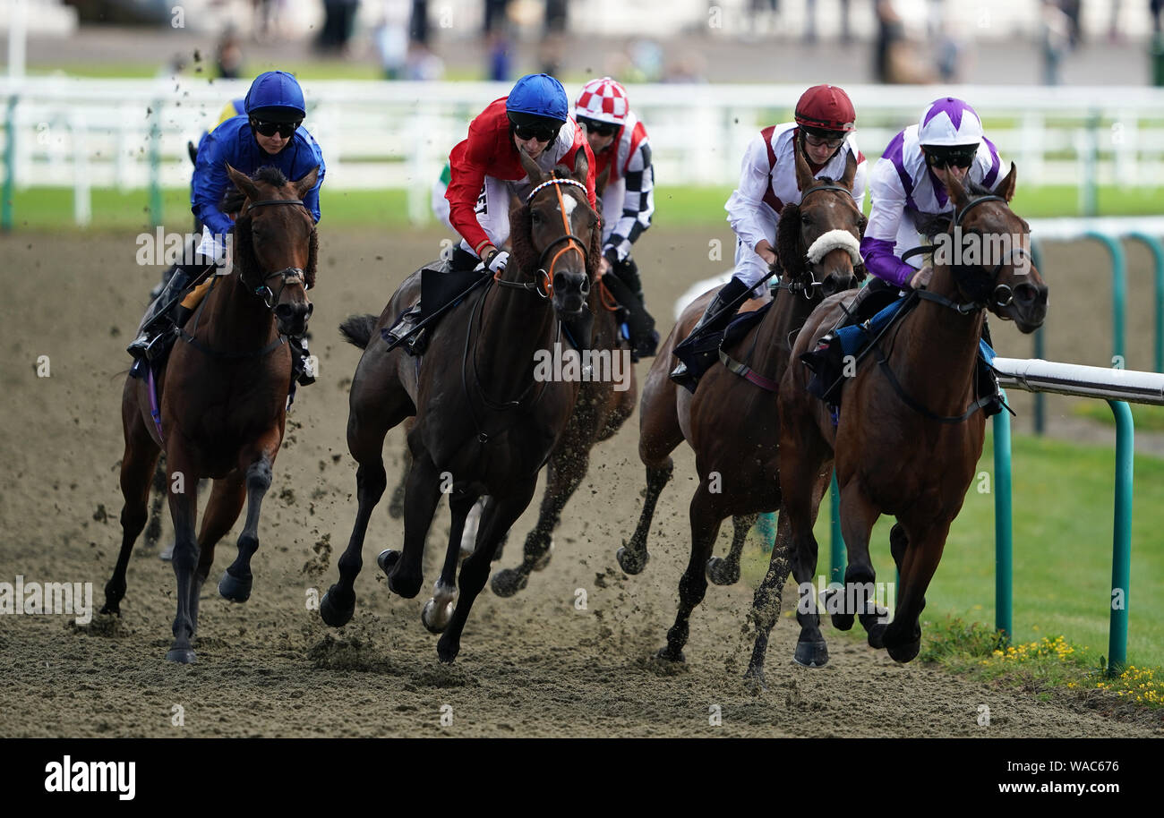 Elisheba hi-res stock photography and images - Alamy