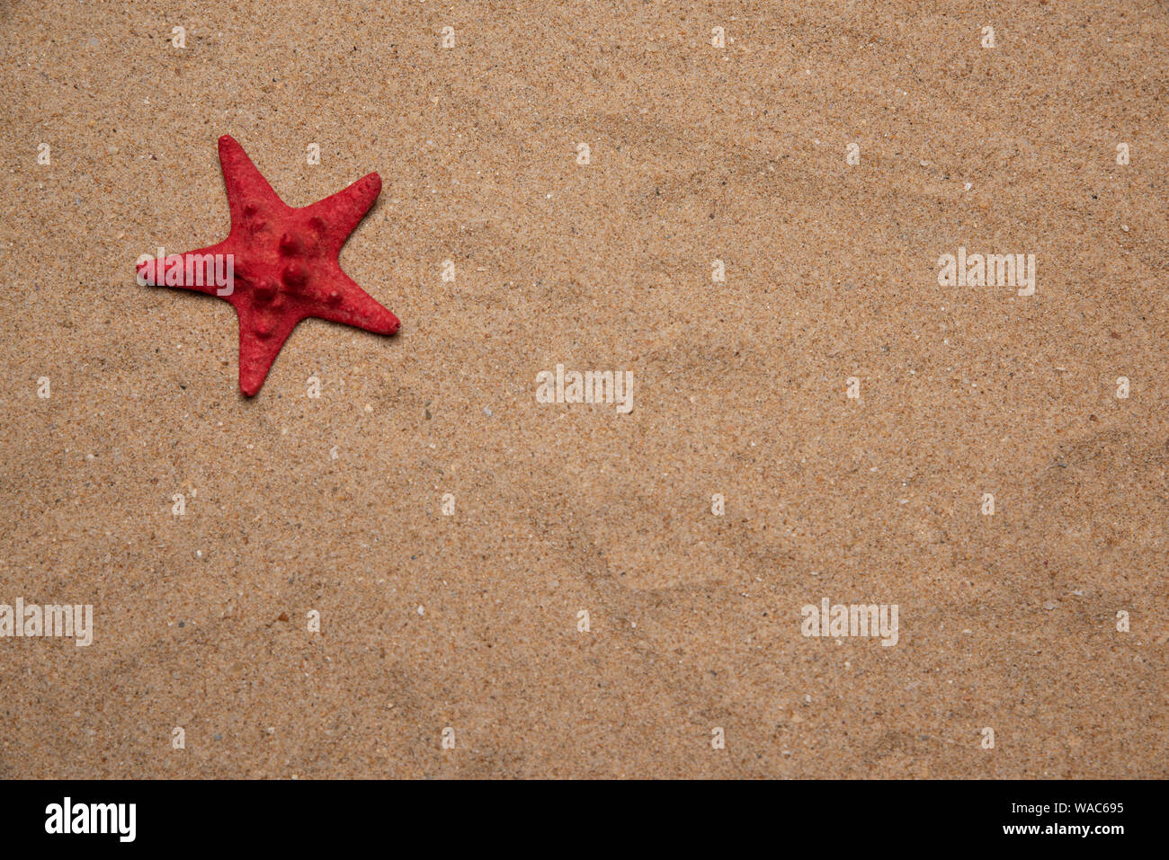 Laying in sea shells hi-res stock photography and images - Alamy