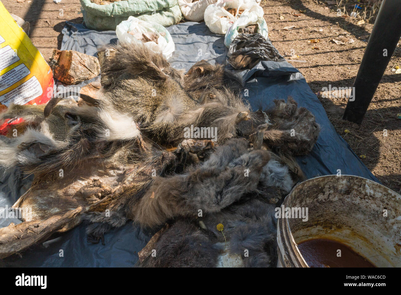 African muti or muthi which is traditional medicine in Southern Africa ...