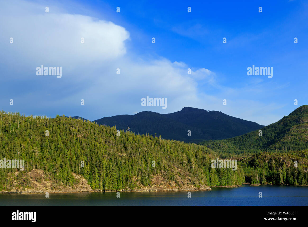 Barkley Sound High Resolution Stock Photography and Images - Alamy