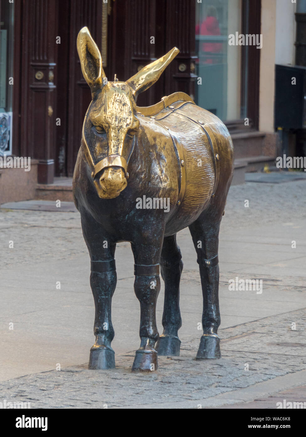 The Donkey of Torun, Poland Stock Photo - Alamy
