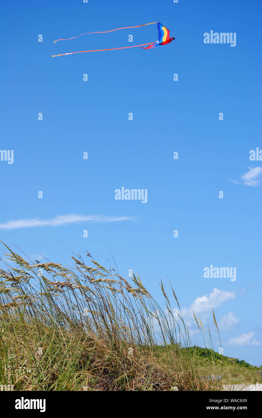 Kite at the beach, Miami Stock Photo - Alamy