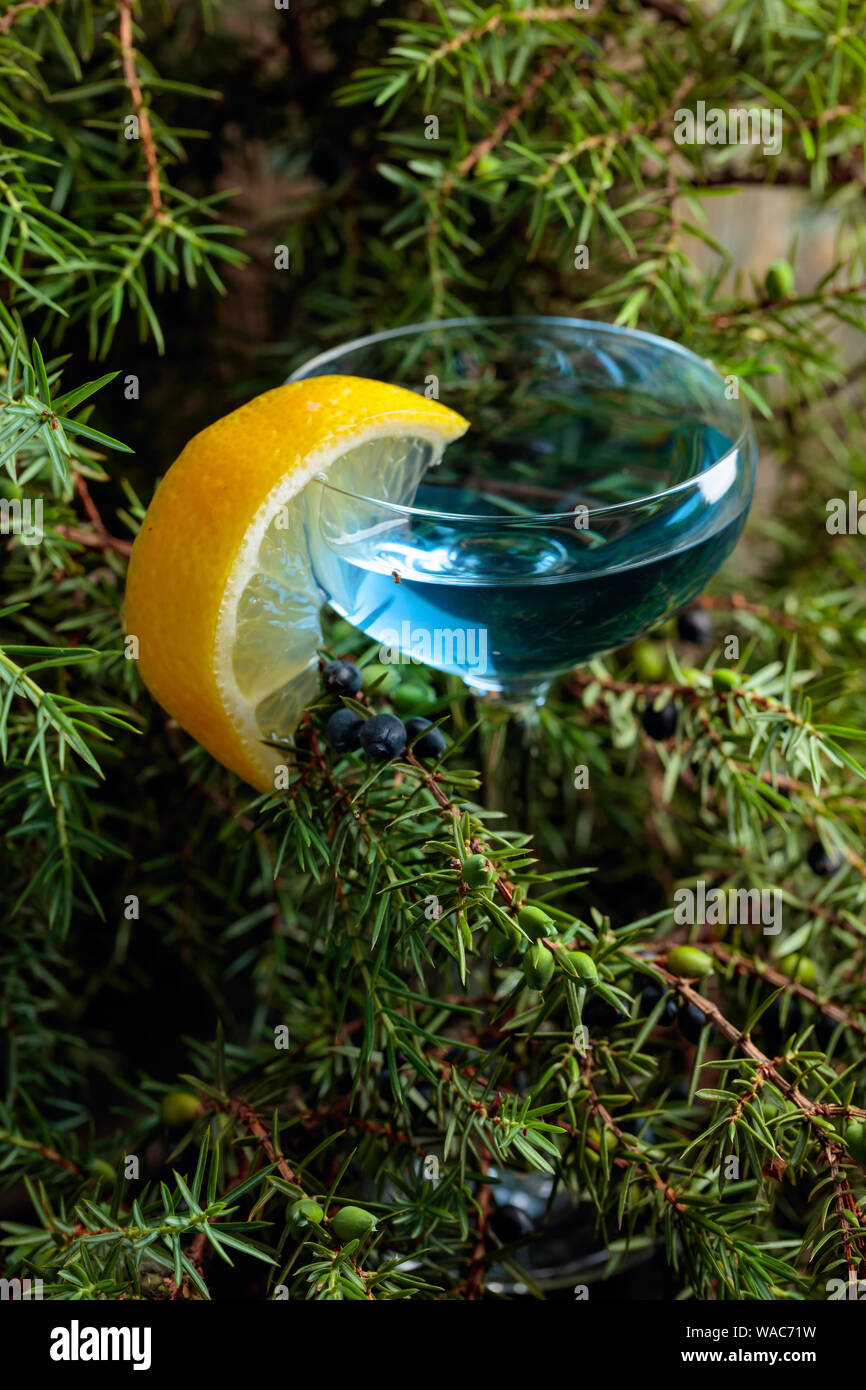 Glass of blue gin garnished with lemon slice. Blue gin and juniper ...
