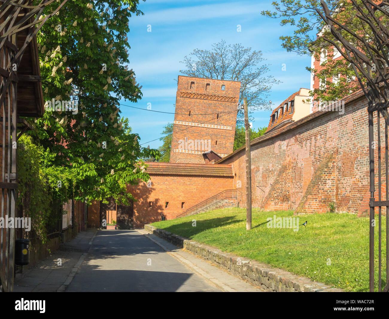 Leaning Tower of Torun, Poland Stock Photo - Alamy