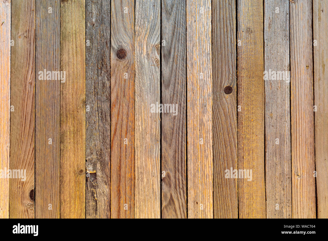Weathered Pine Wood Texture