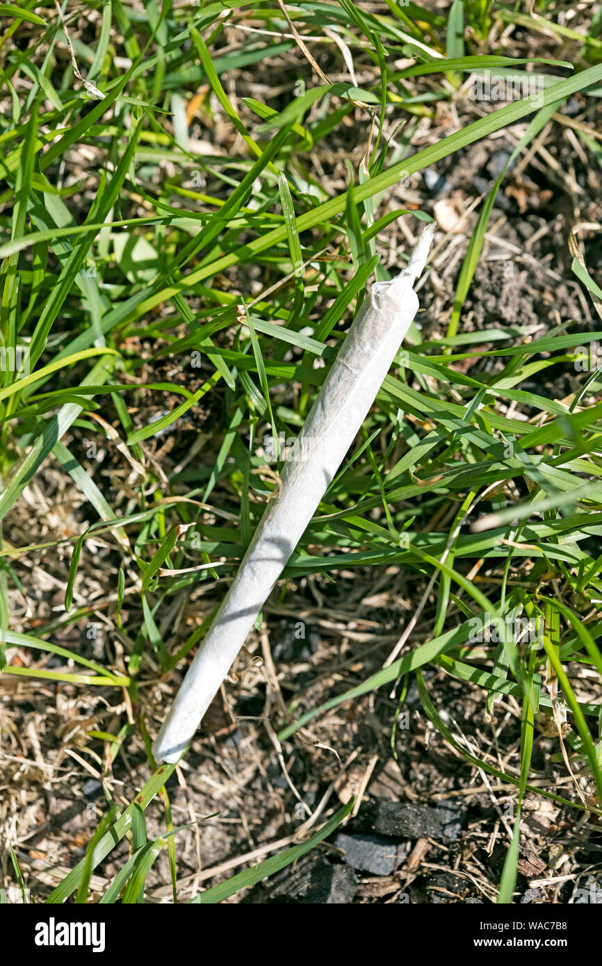 Cannabis joint macro in grass background fifty megapixels modern ...