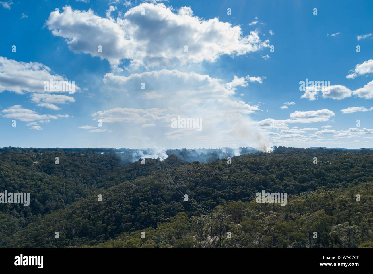 A small bushfire burning in gum trees in the mountains Stock Photo - Alamy