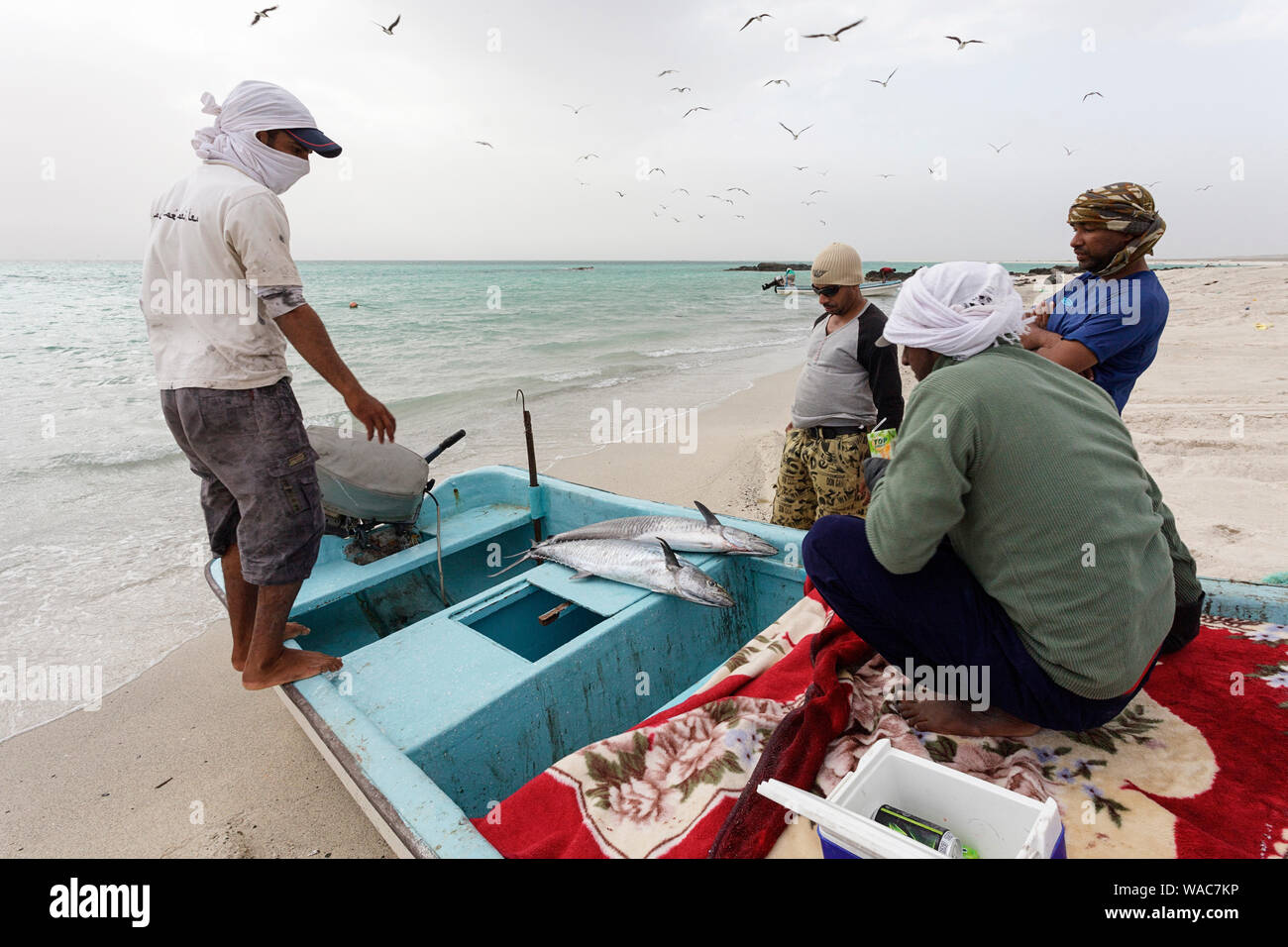 Omani Fishing Stock Photos & Omani Fishing Stock Images - Alamy