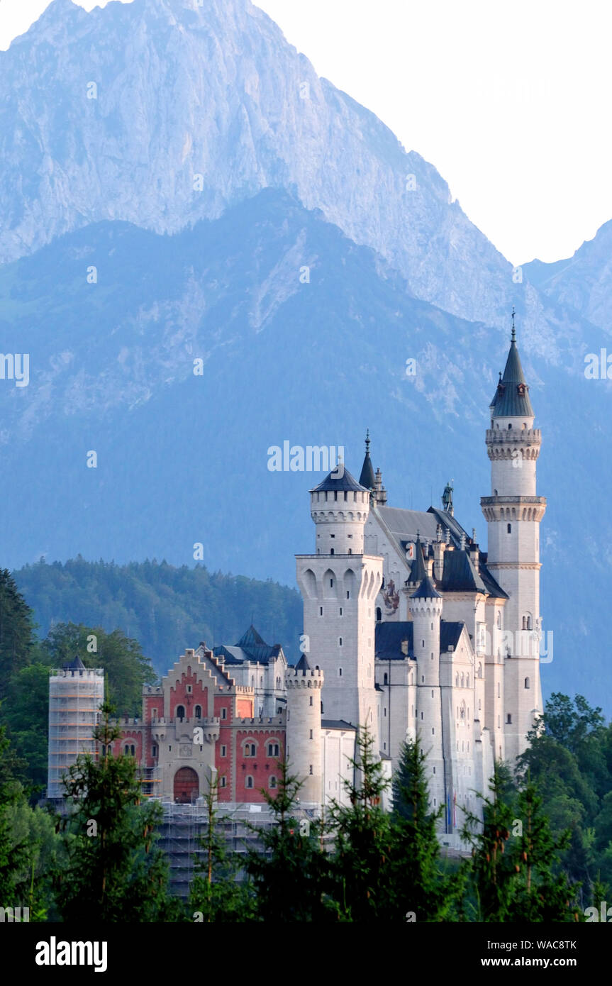 Neuschwanstein castle in summer Stock Photo - Alamy