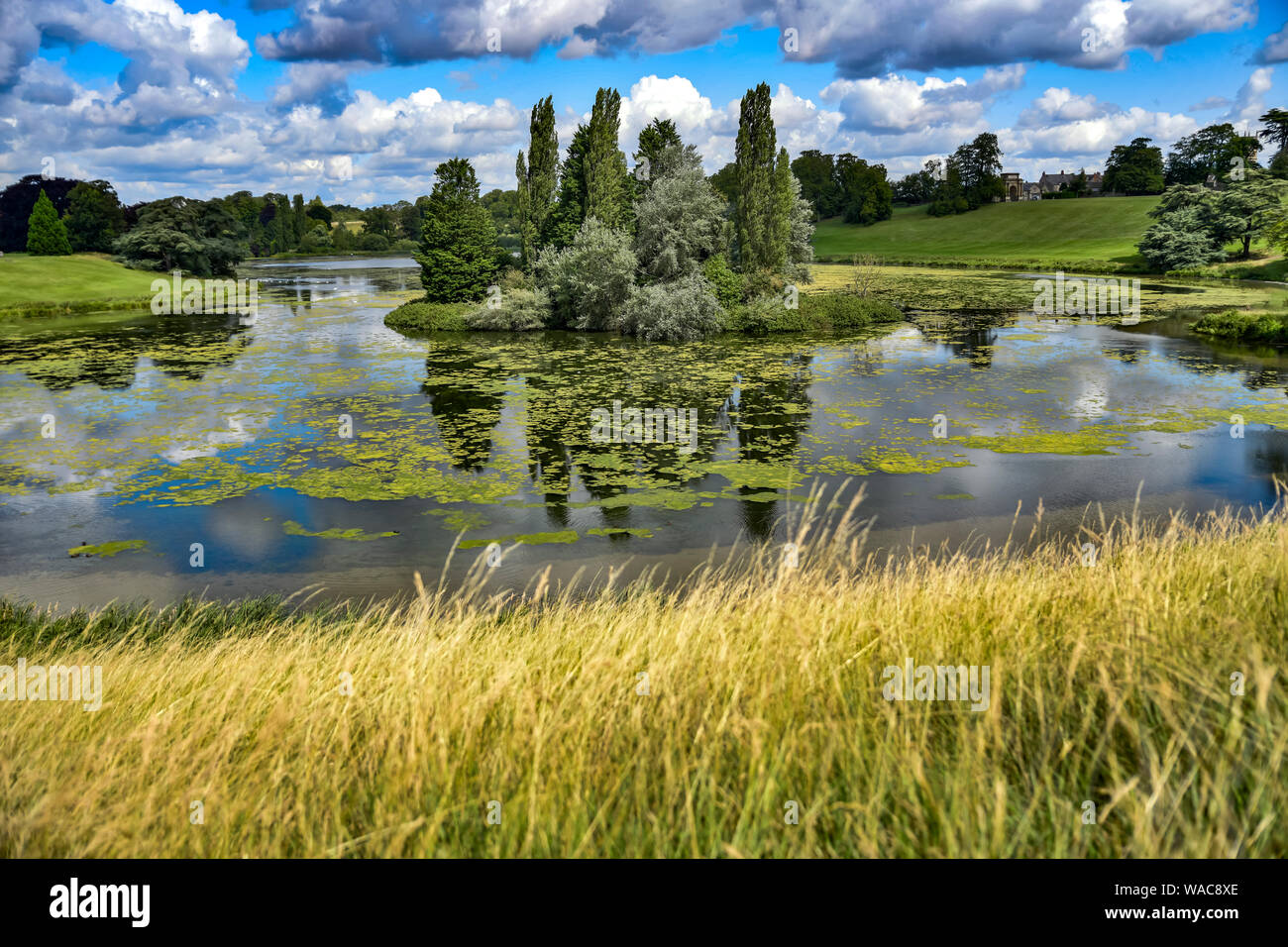 Blenheim Palace. The River Glyme flowing through the grounds and ...