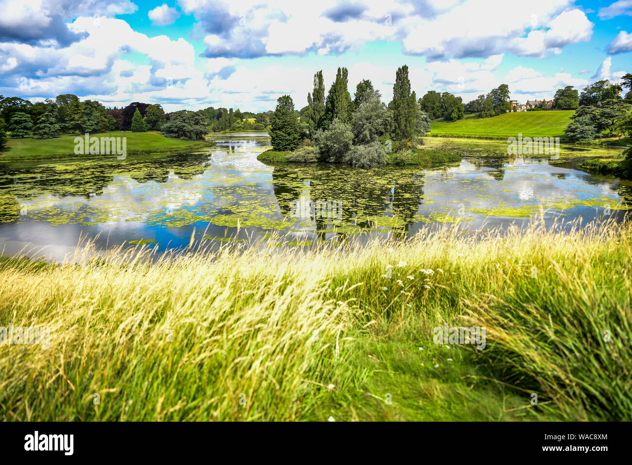 Blenheim Palace. The River Glyme flowing through the grounds and ...