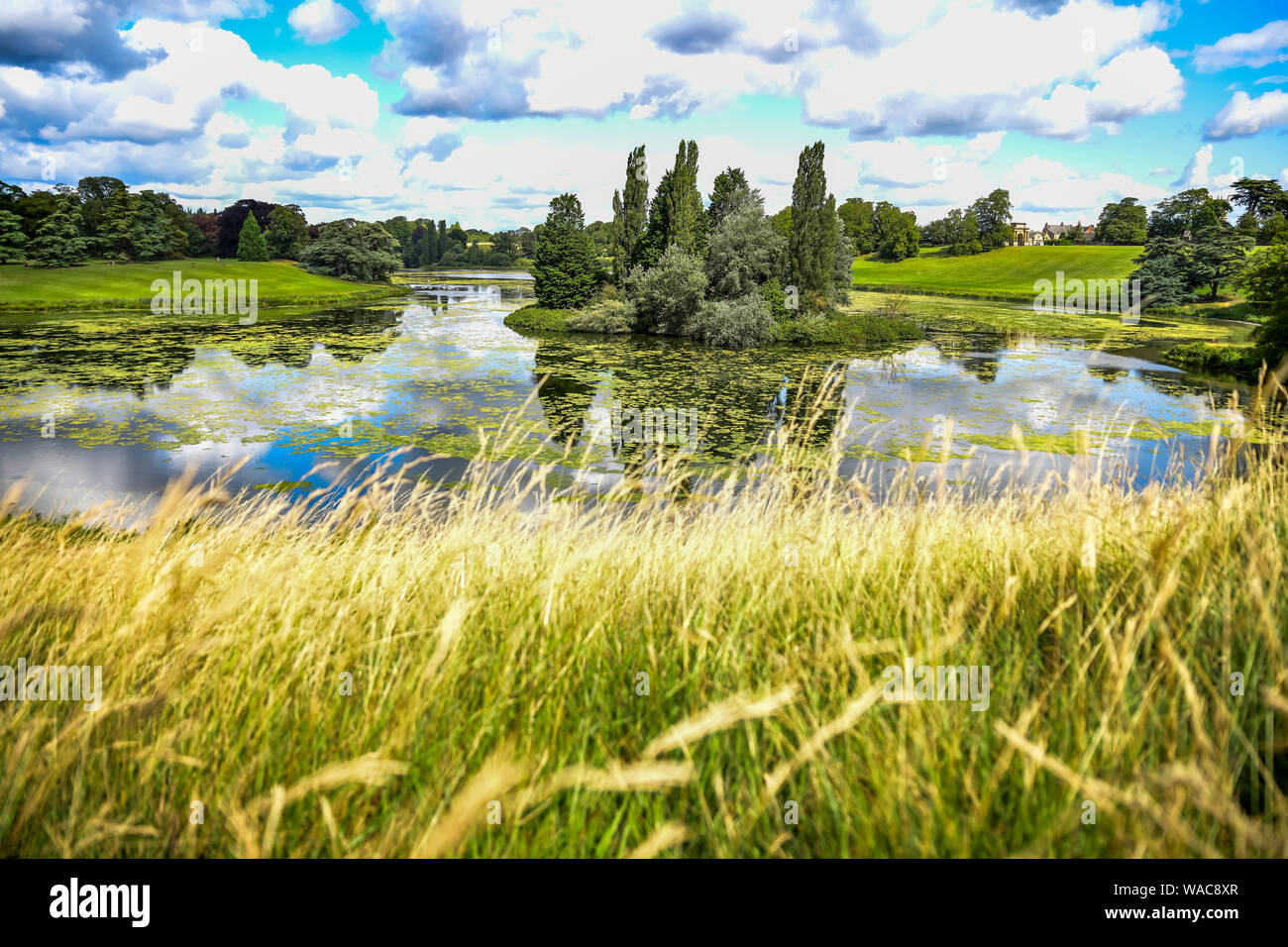 Blenheim Palace. The River Glyme flowing through the grounds and ...