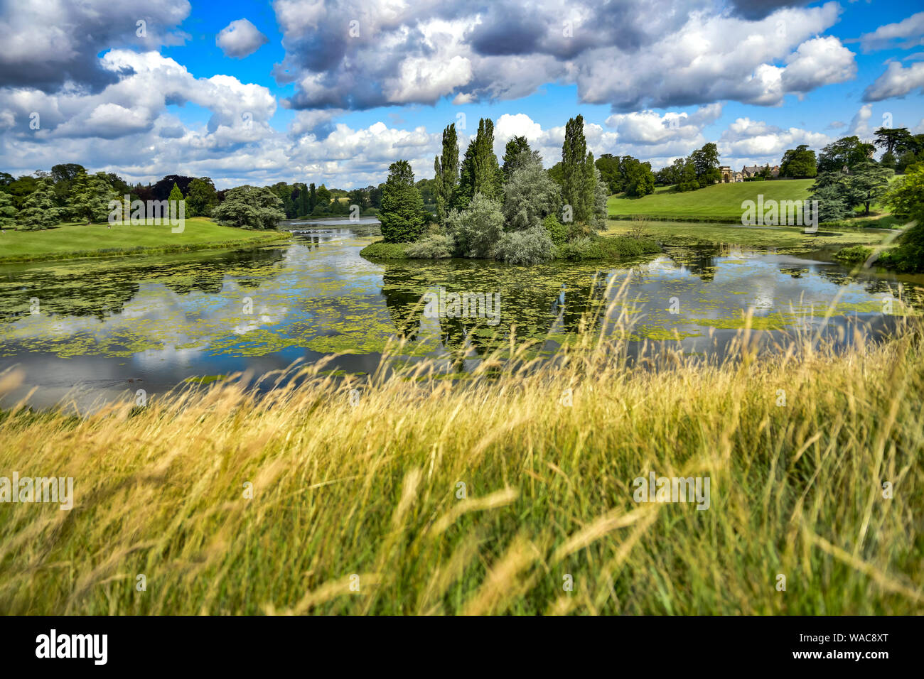 Blenheim Palace. The River Glyme flowing through the grounds and ...