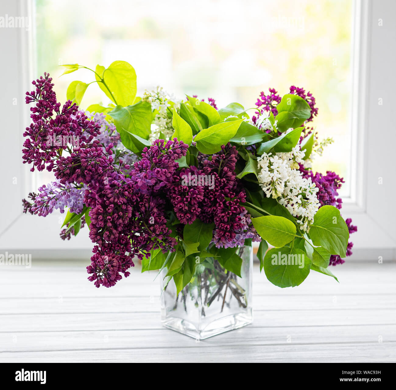 Lilacs in a window hi-res stock photography and images - Alamy