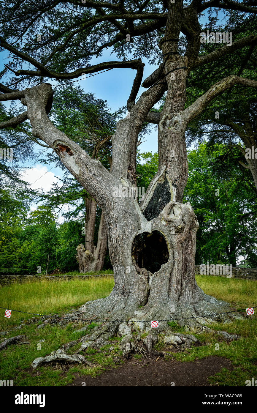 Blenheim estate gardens hi-res stock photography and images - Alamy