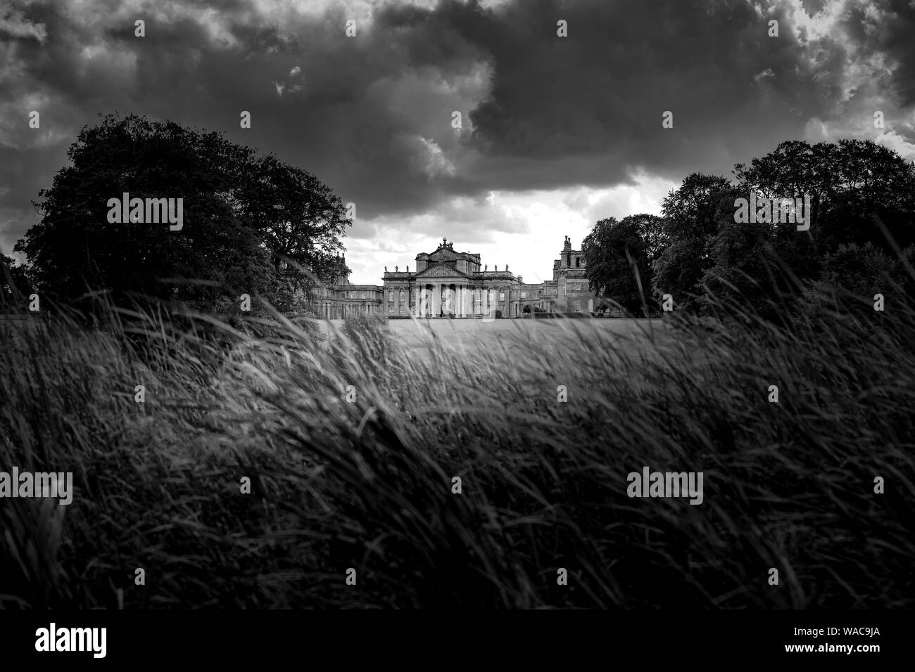 Blenheim Palace. View of Blenheim palace from reeds along The River ...