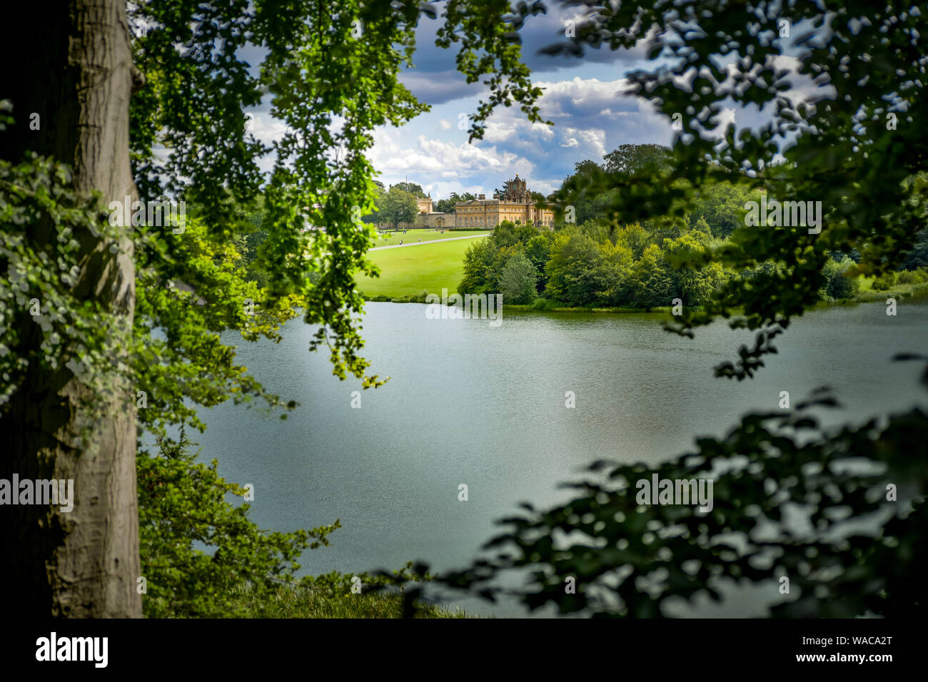 Blenheim Palace grounds and parks. River Glyme and established trees at ...