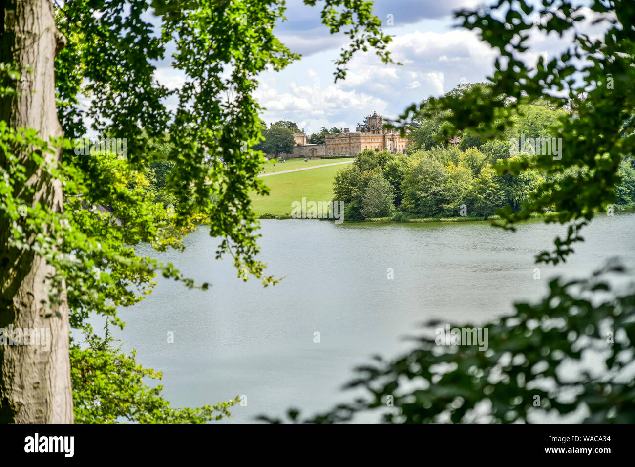 Blenheim Palace grounds and parks. River Glyme and established trees at ...