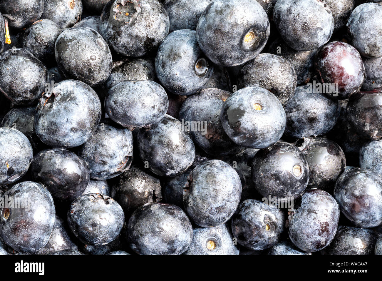natural food background - many fresh blueberry fruits close up Stock ...