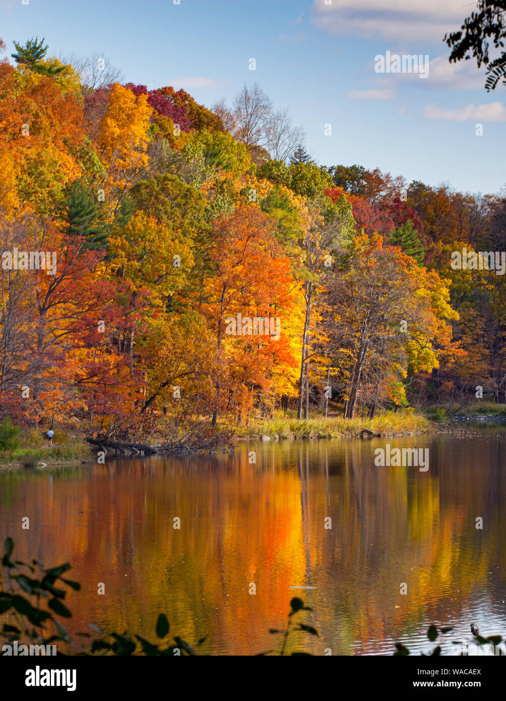 Autumn's Fire on Beebe Lake Stock Photo - Alamy