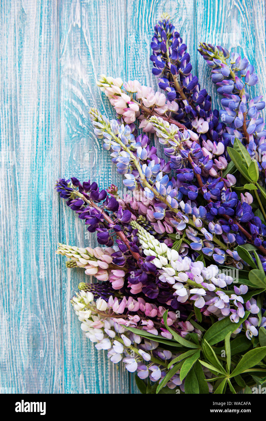Pink and purple lupine flowers border on a old wooden background Stock ...