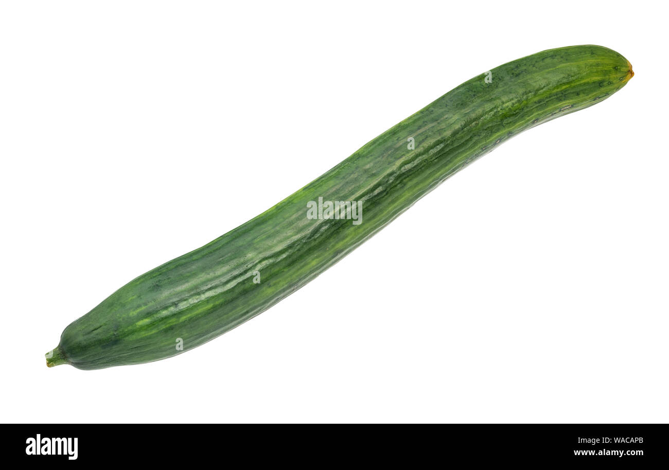 ripe green long cucumber fruit cutout on white background Stock Photo ...