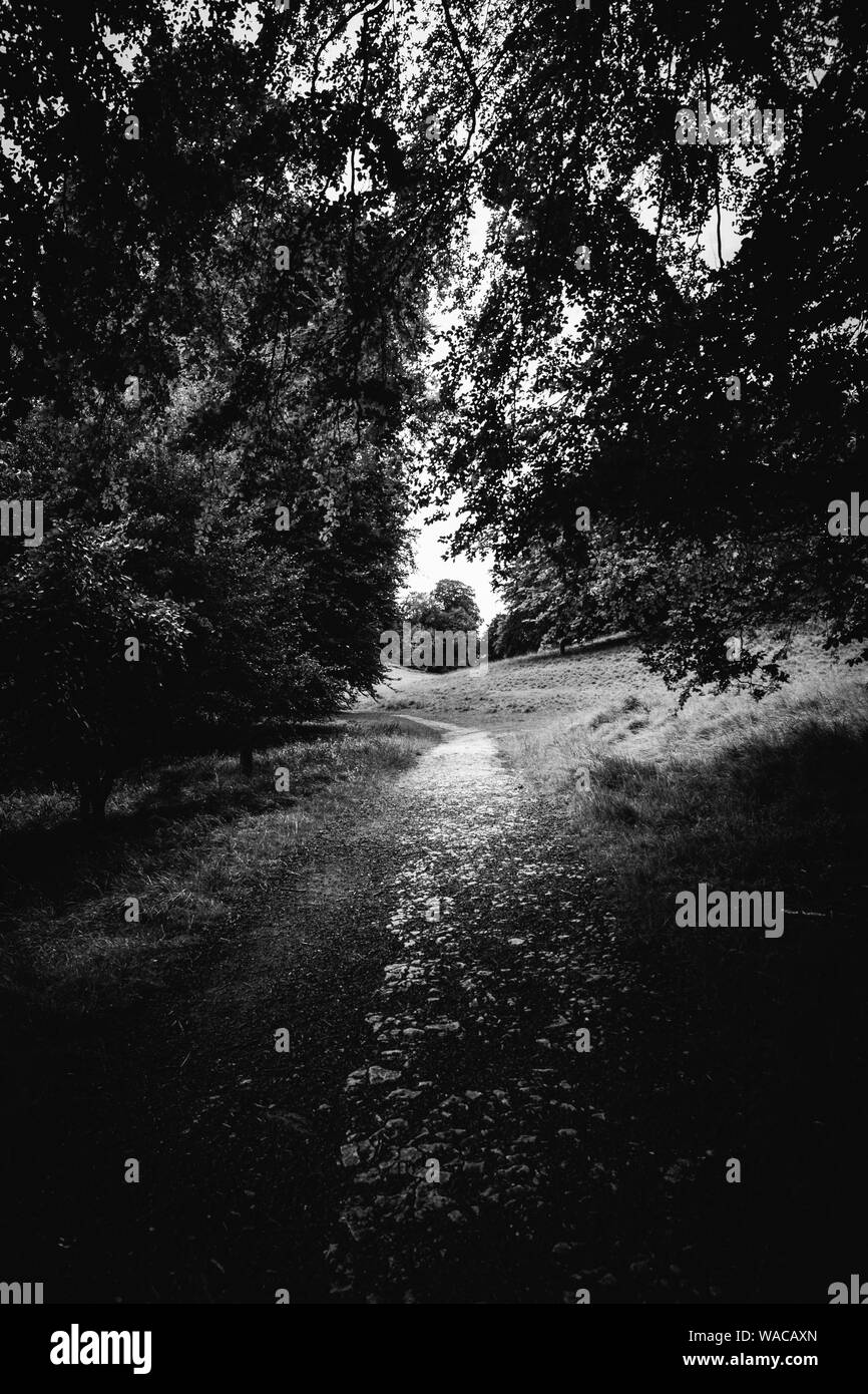 Footpaths and hiking trails Black and White Stock Photos & Images - Alamy
