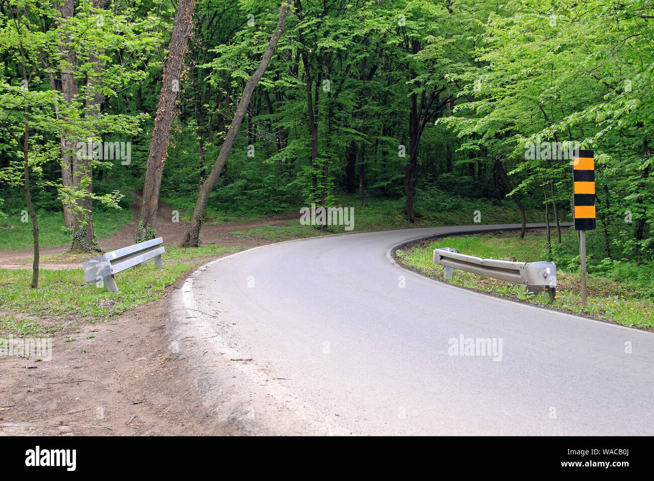 Curved Rular Road in Green Conifer Forest Stock Photo - Alamy