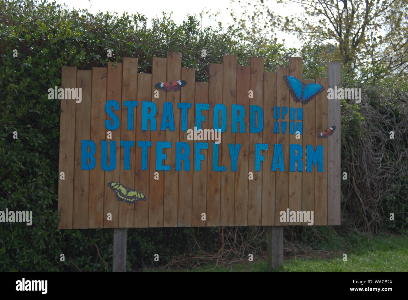 Stratford Butterfly Farm, Stratford-upon-Avon, England Stock Photo - Alamy