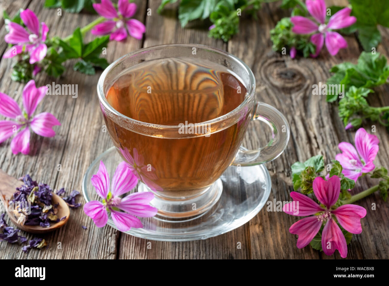 Malva sylvestris tea hi-res stock photography and images - Alamy