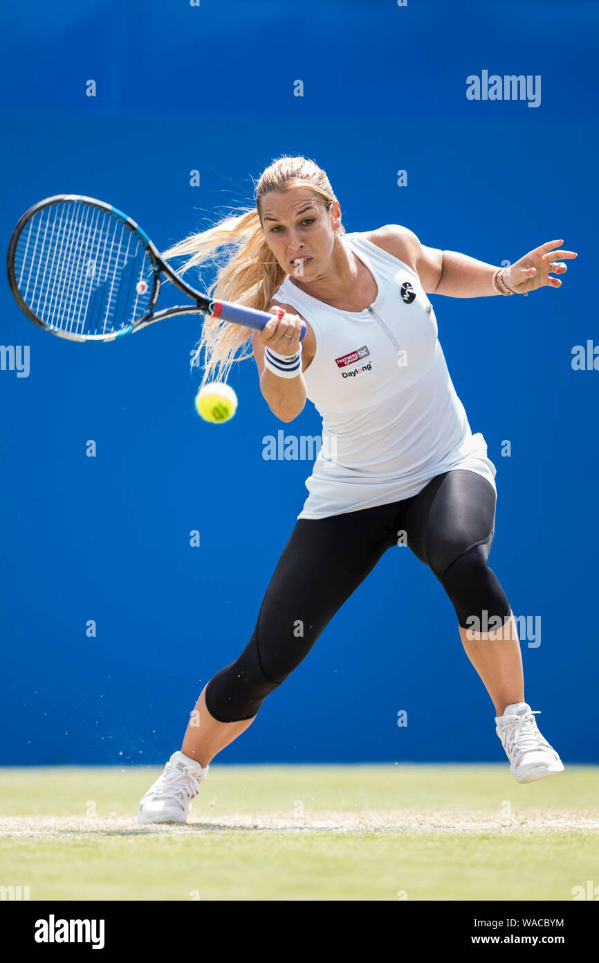 Cibulkova hi-res stock photography and images - Alamy