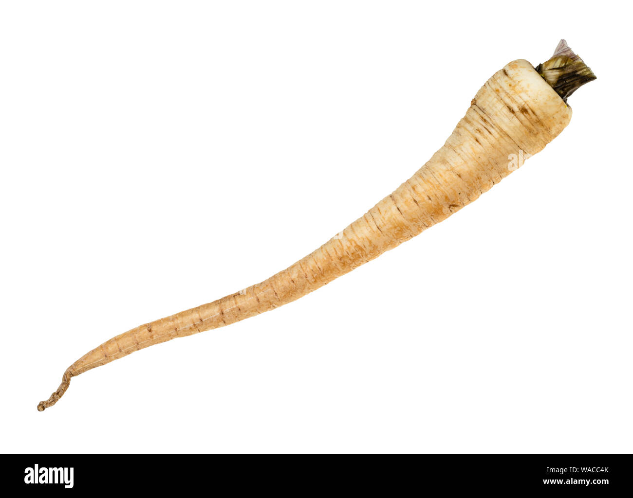Parsley root garden hi-res stock photography and images - Alamy