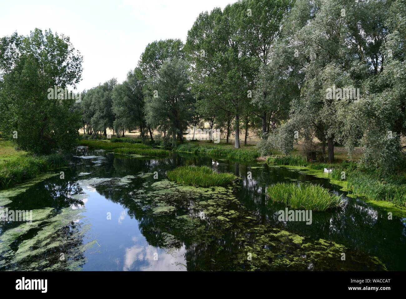 Blenheim Palace. Beautiful scenic river Glyme. Woodstock, Oxfordshire ...