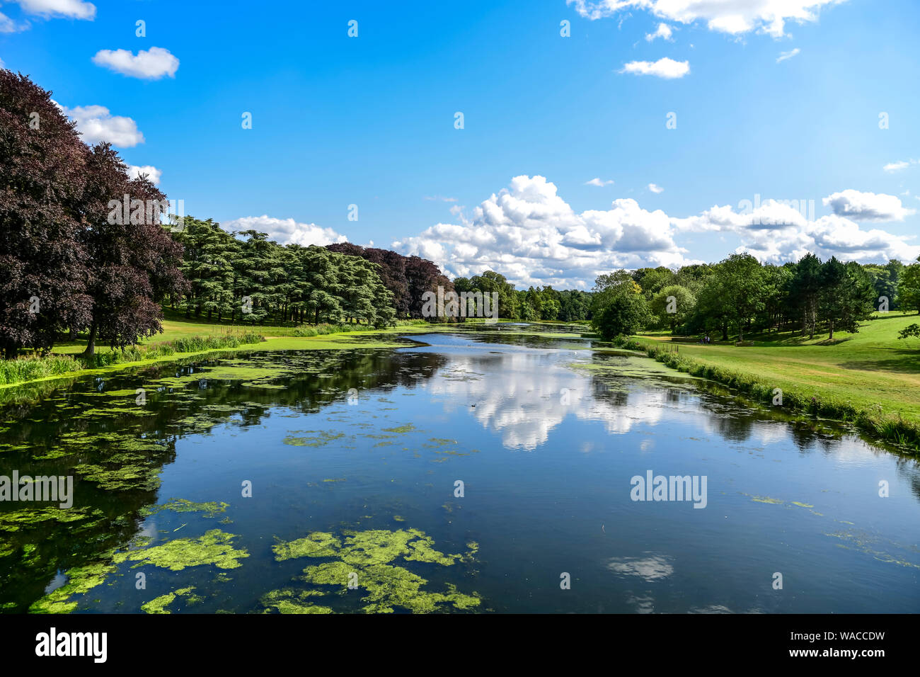 Blenheim Palace. Beautiful scenic river Glyme. Woodstock, Oxfordshire ...