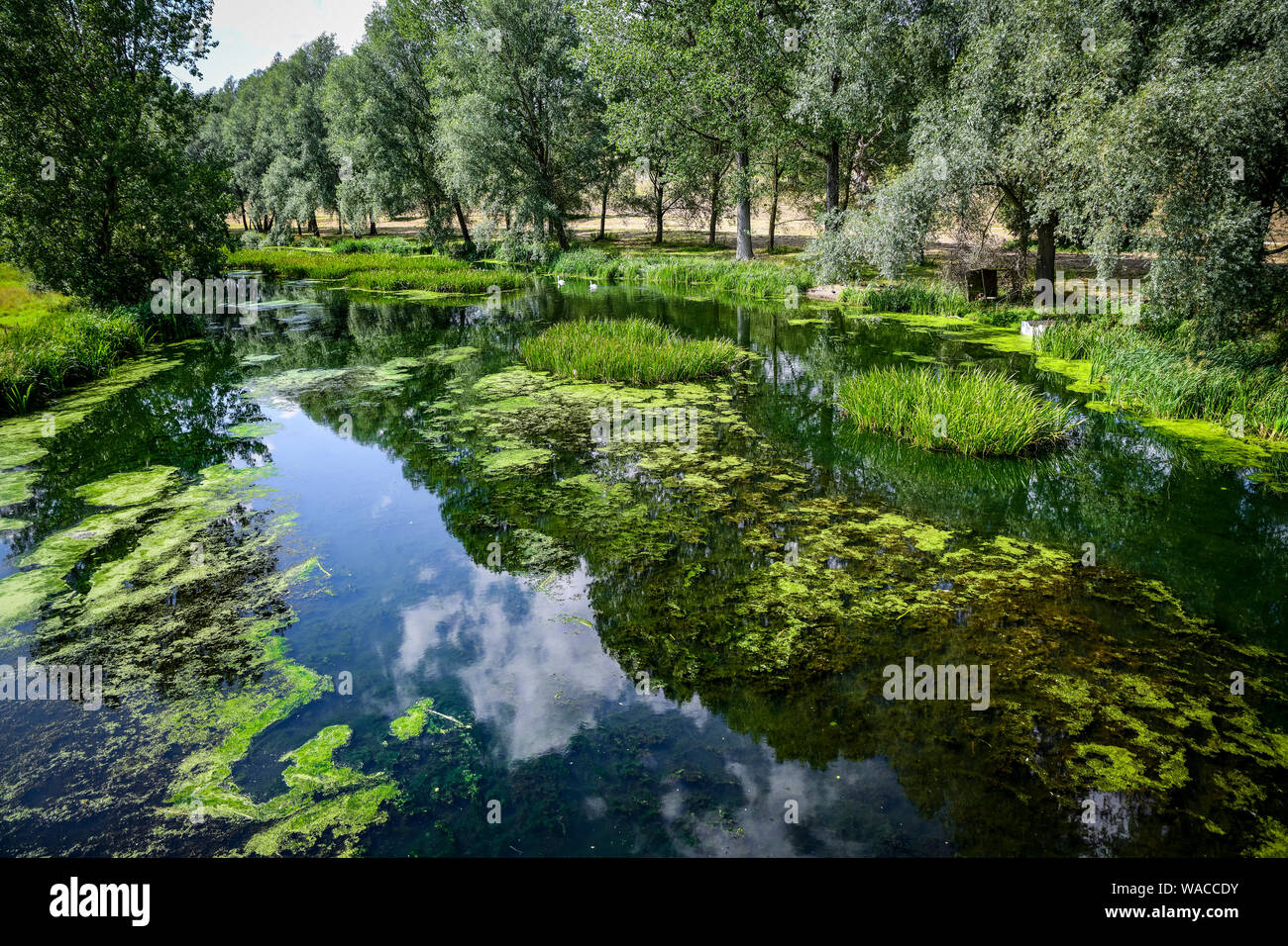 Blenheim Palace. Beautiful scenic river Glyme. Woodstock, Oxfordshire ...