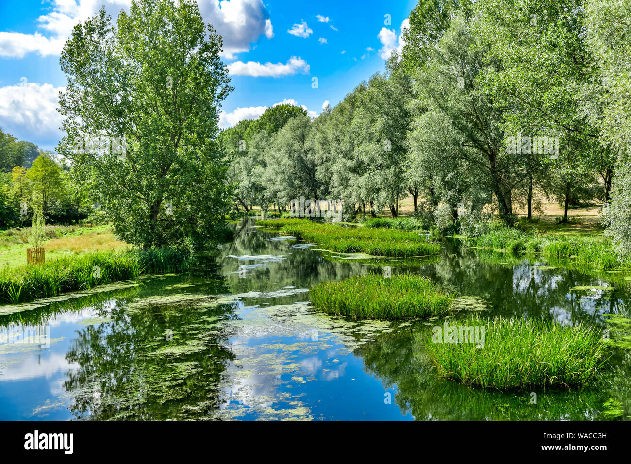 Blenheim Palace. Beautiful scenic river Glyme. Woodstock, Oxfordshire ...