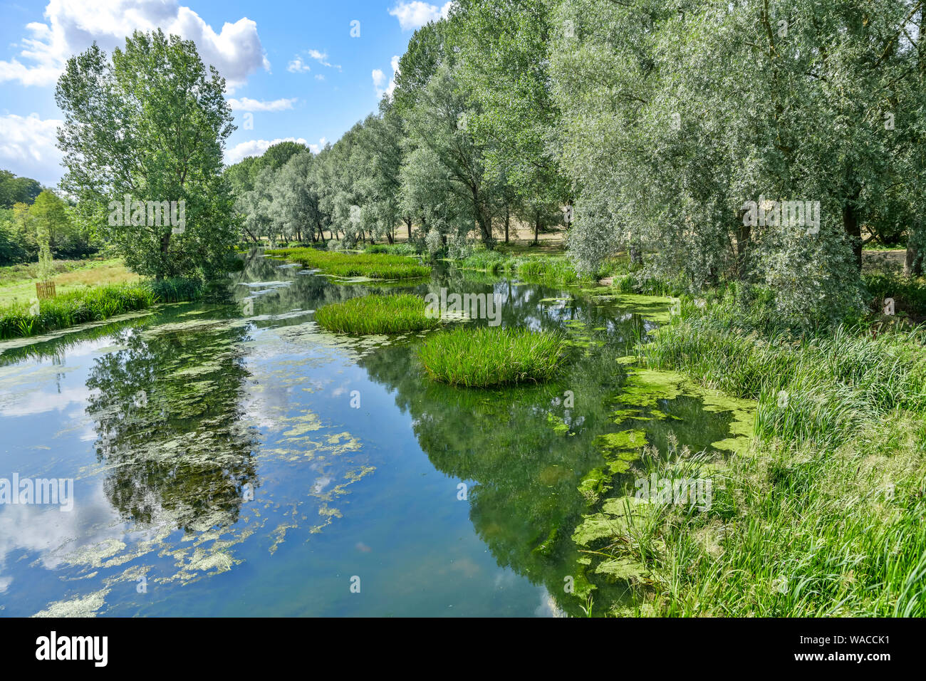 Blenheim Palace. Beautiful scenic river Glyme. Woodstock, Oxfordshire ...