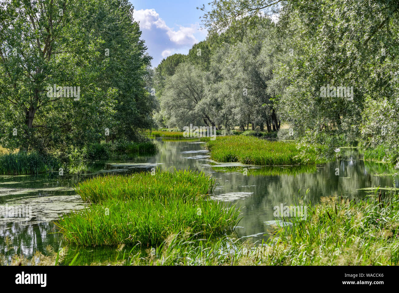Blenheim Palace. Beautiful scenic river Glyme. Woodstock, Oxfordshire ...