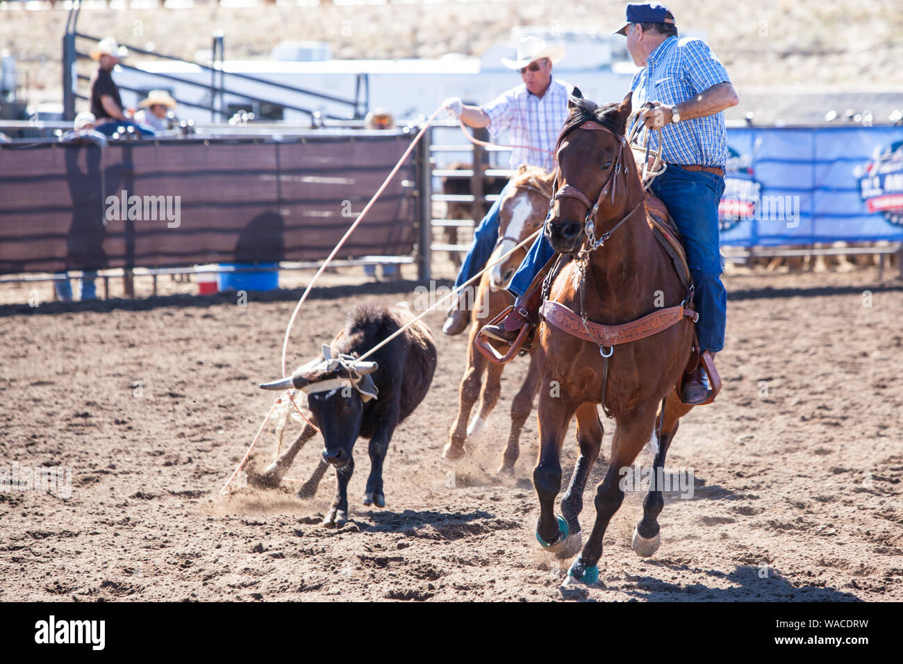 Wickenburg ranch hi-res stock photography and images - Alamy