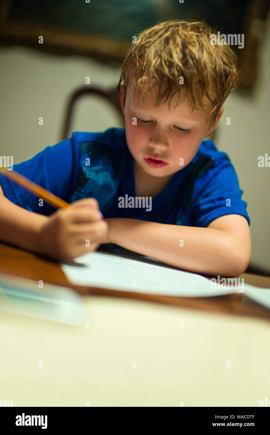 Focused young boy working on homework Stock Photo - Alamy