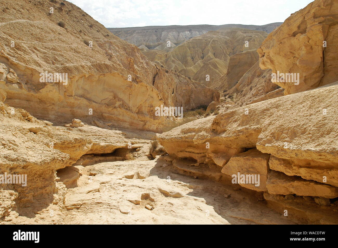 relief of Judaern Desert, Israel Stock Photo - Alamy