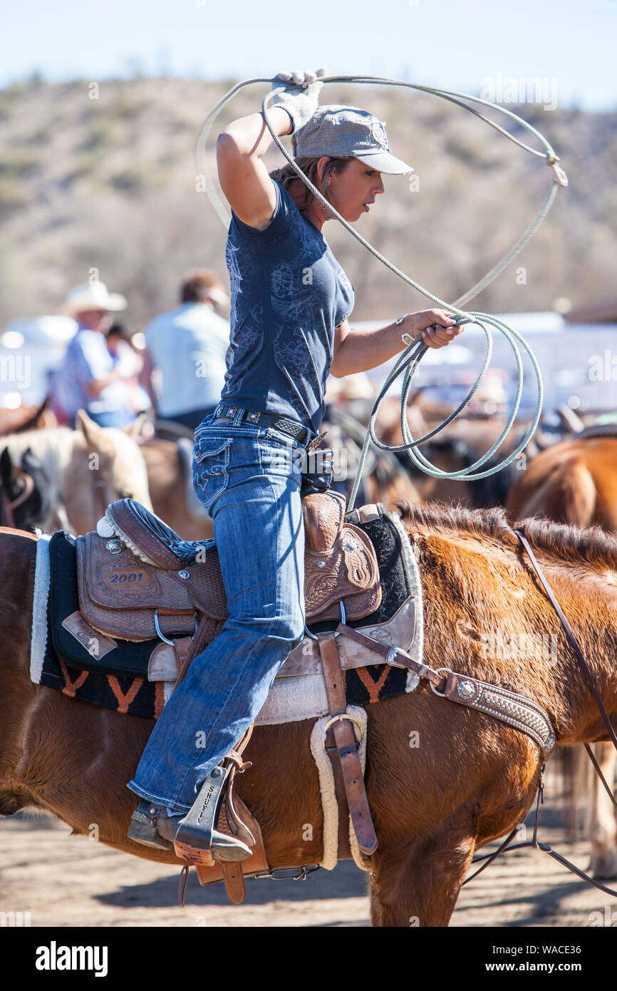 Cowboy roping cattle hi-res stock photography and images - Alamy