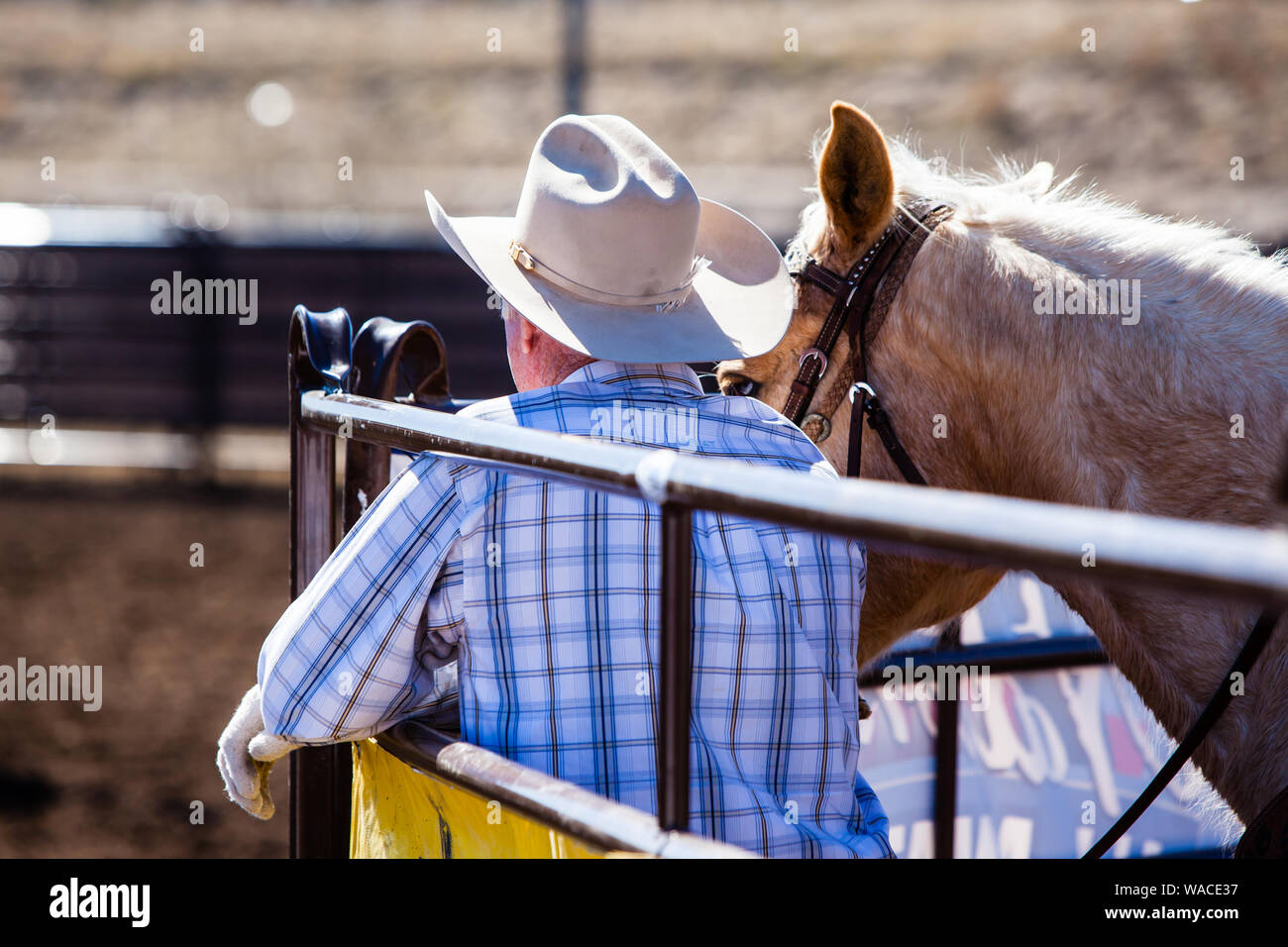 Team Roping Competition Stock Photo - Alamy
