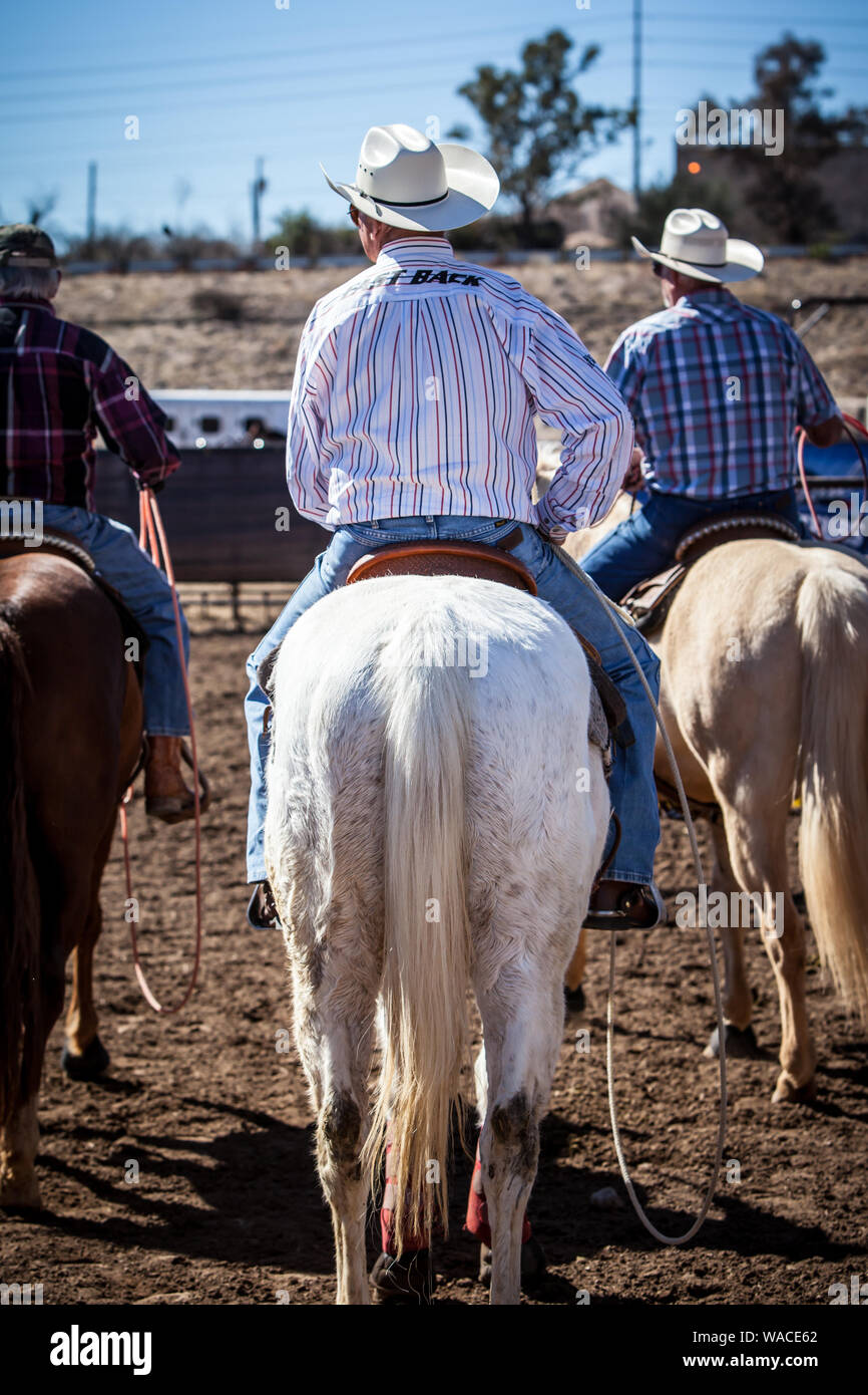 Team Roping Competition Stock Photo - Alamy