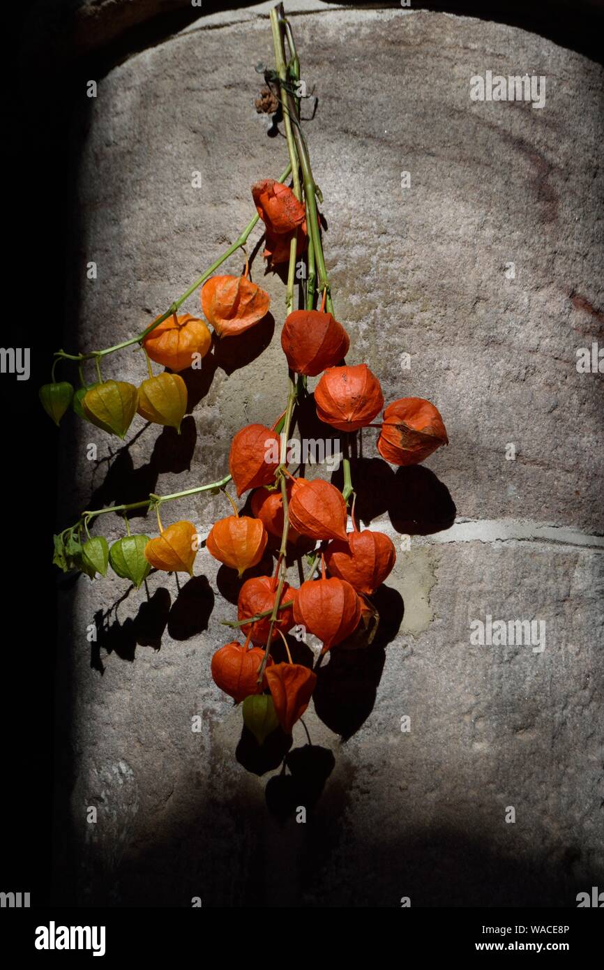 Chinese lanterns used as decoration hanging on stone column Stock Photo ...