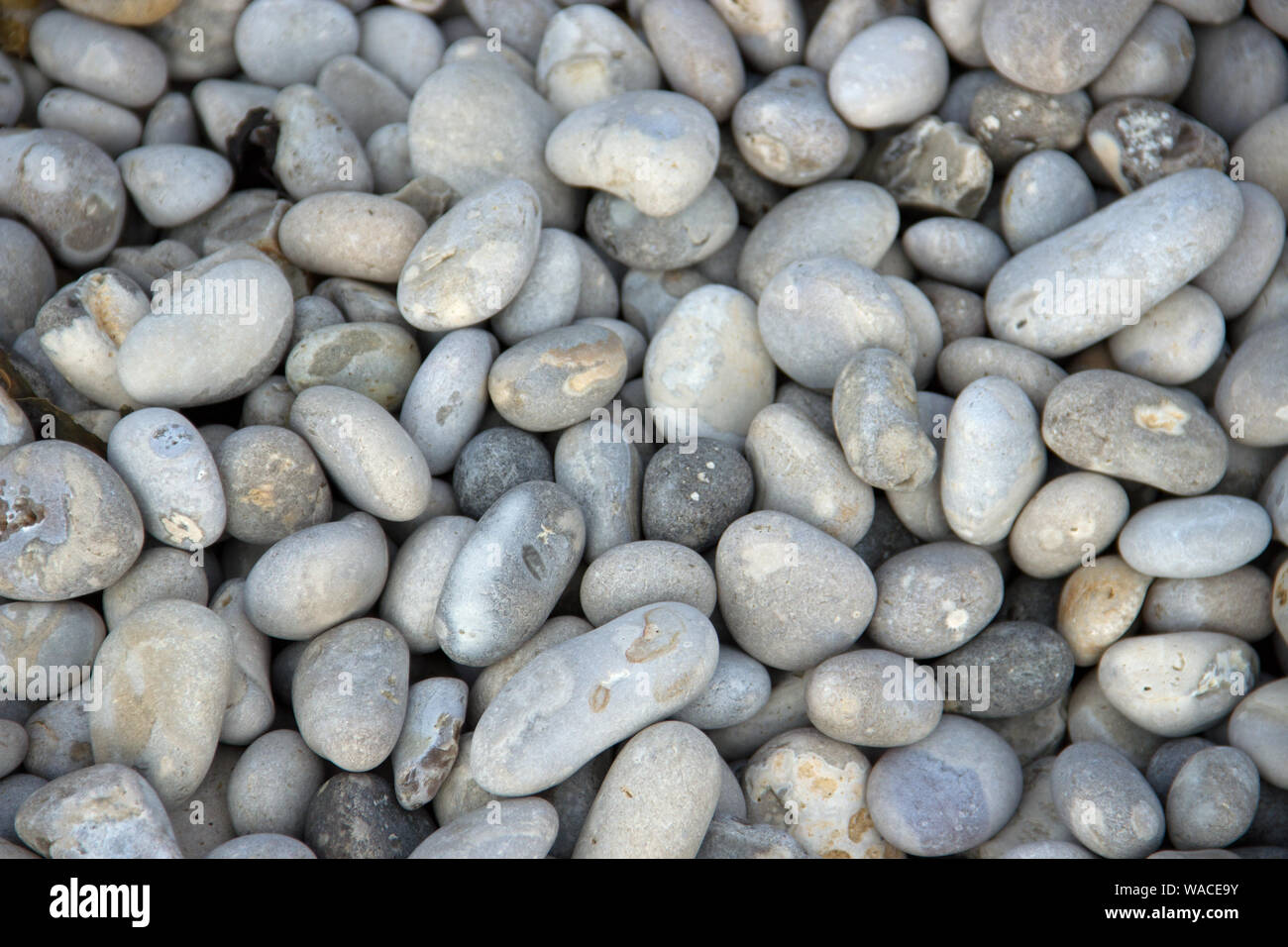 Grey pebbels hi-res stock photography and images - Alamy