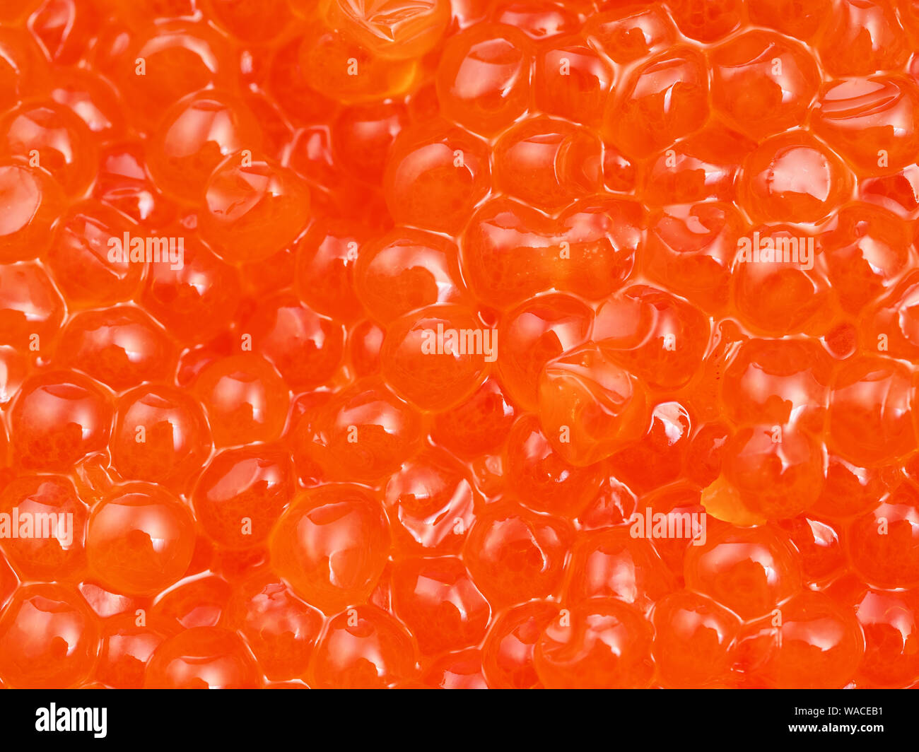 food background - red caviar of pink salmon fish close-up Stock Photo ...