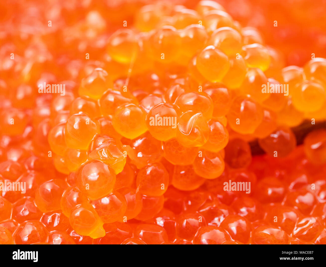 Salmon caviar photo hi-res stock photography and images - Alamy