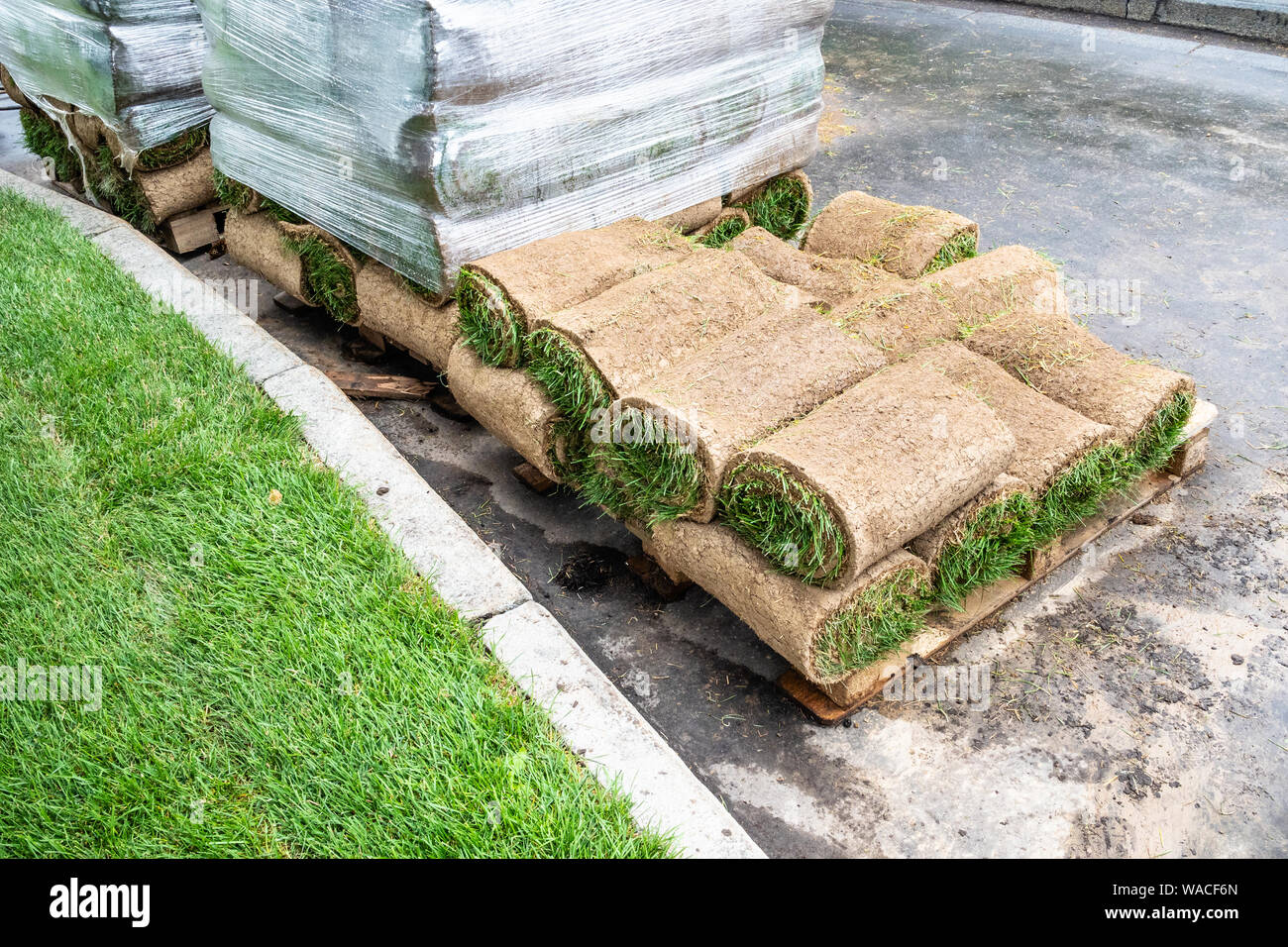 Laying new lawn soil hi-res stock photography and images - Alamy